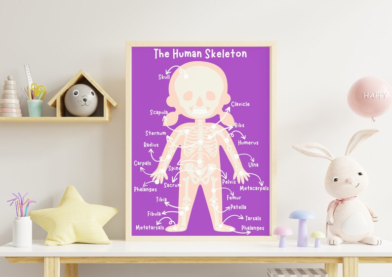 Simple Human Skeleton Anatomy Poster for Kids Nursery Kindergarten ...