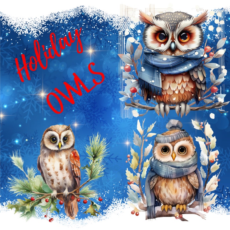 OWL CLIPART Set, Digital Owl Images, Bird Designs, Printable Owl Art ...