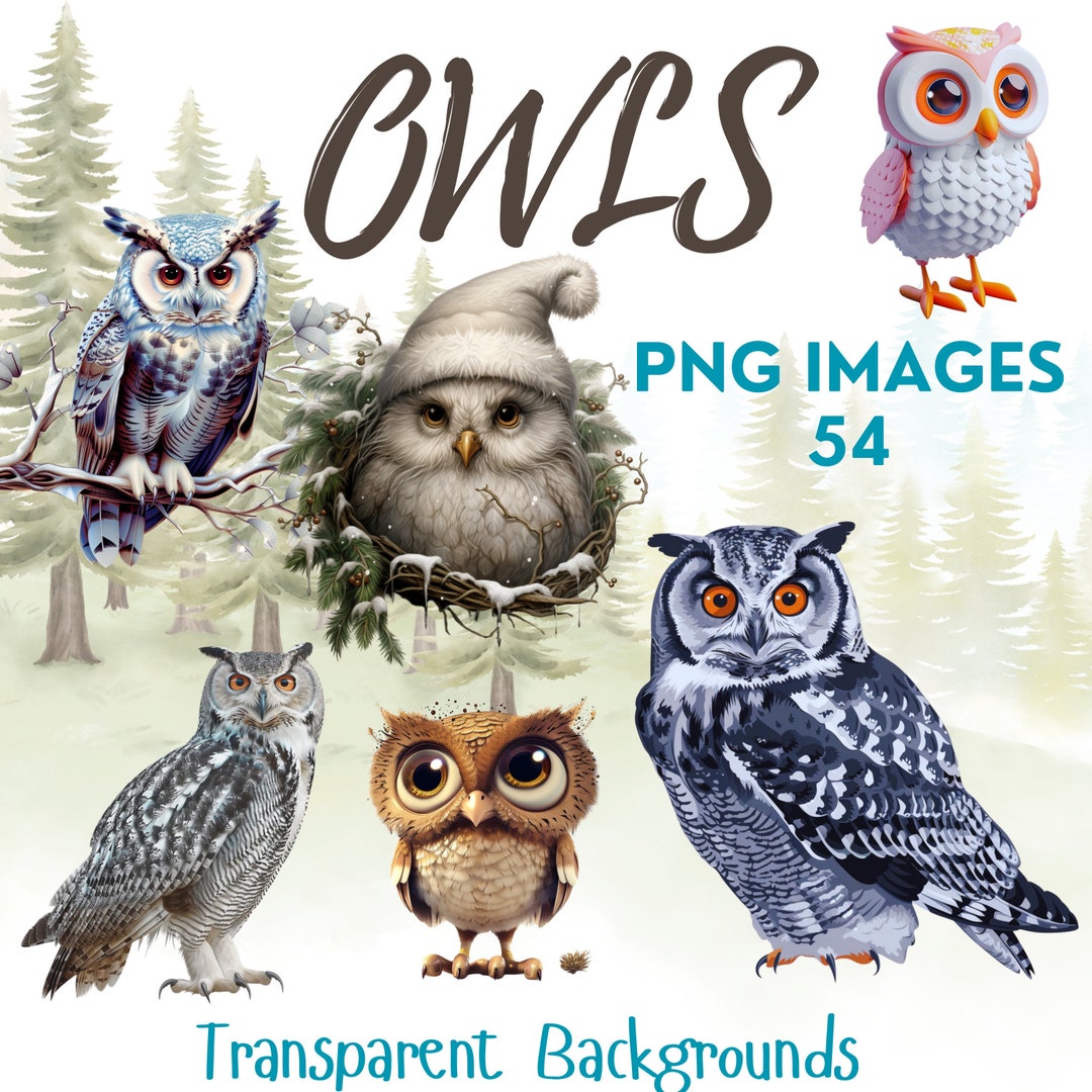 OWL CLIPART Set, Digital Owl Images, Bird Designs, Printable Owl Art ...