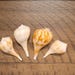 Set of 4 Pear Whelk Shells / Seashells - Etsy
