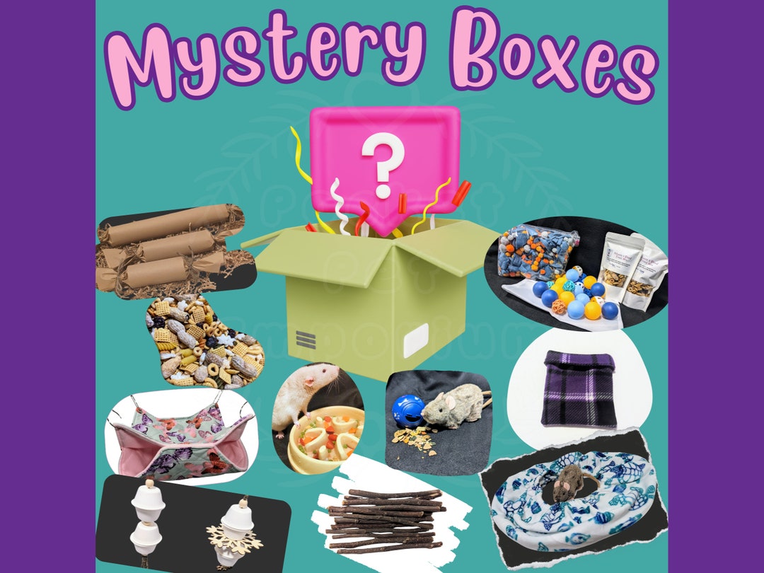 Mystery Box for Rats and Small Pets, Hammocks Food Treats Toys Cage ...
