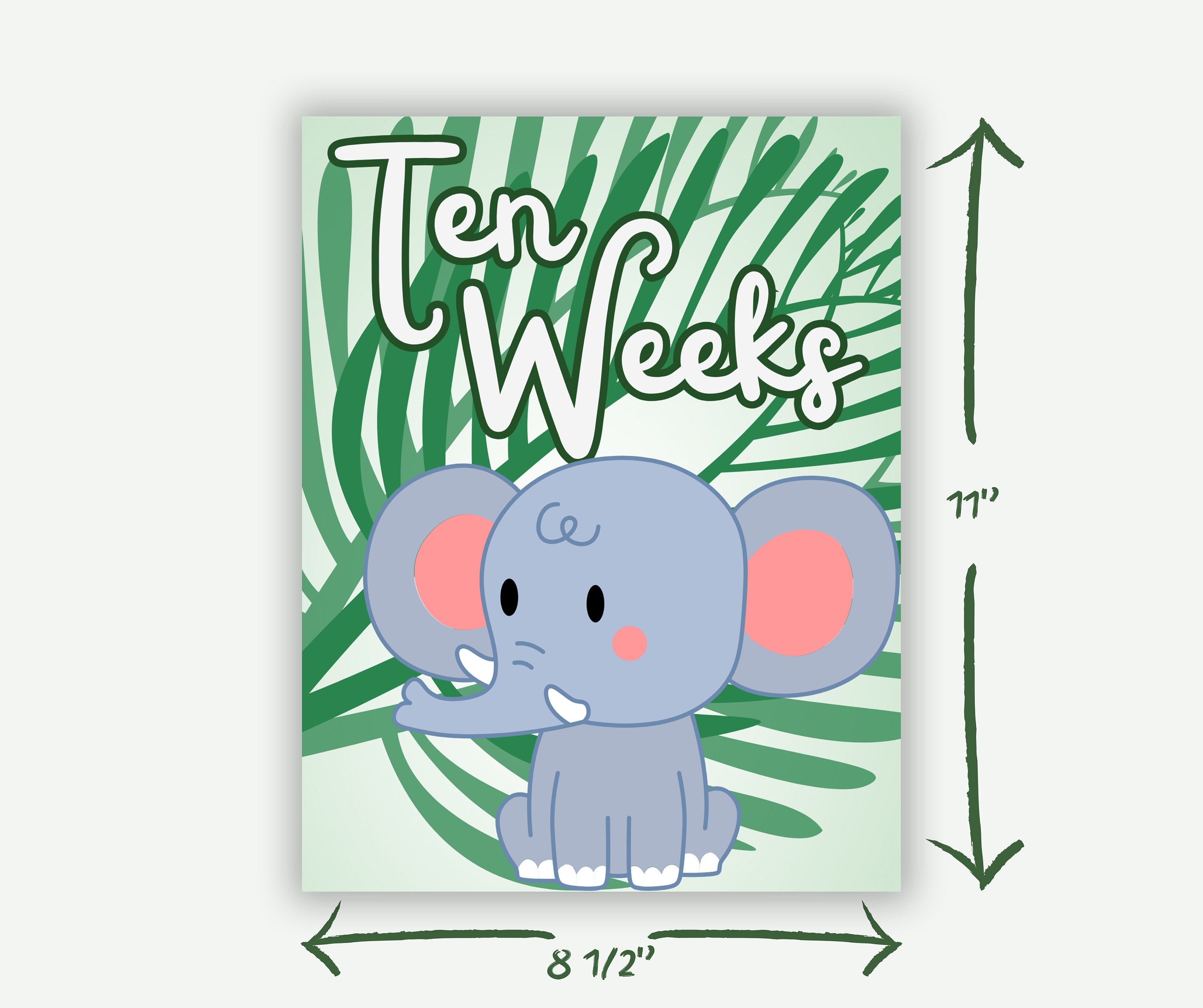 24 Unique LAMINATED Baby Milestone Photo Signs 8.5x11 - Etsy