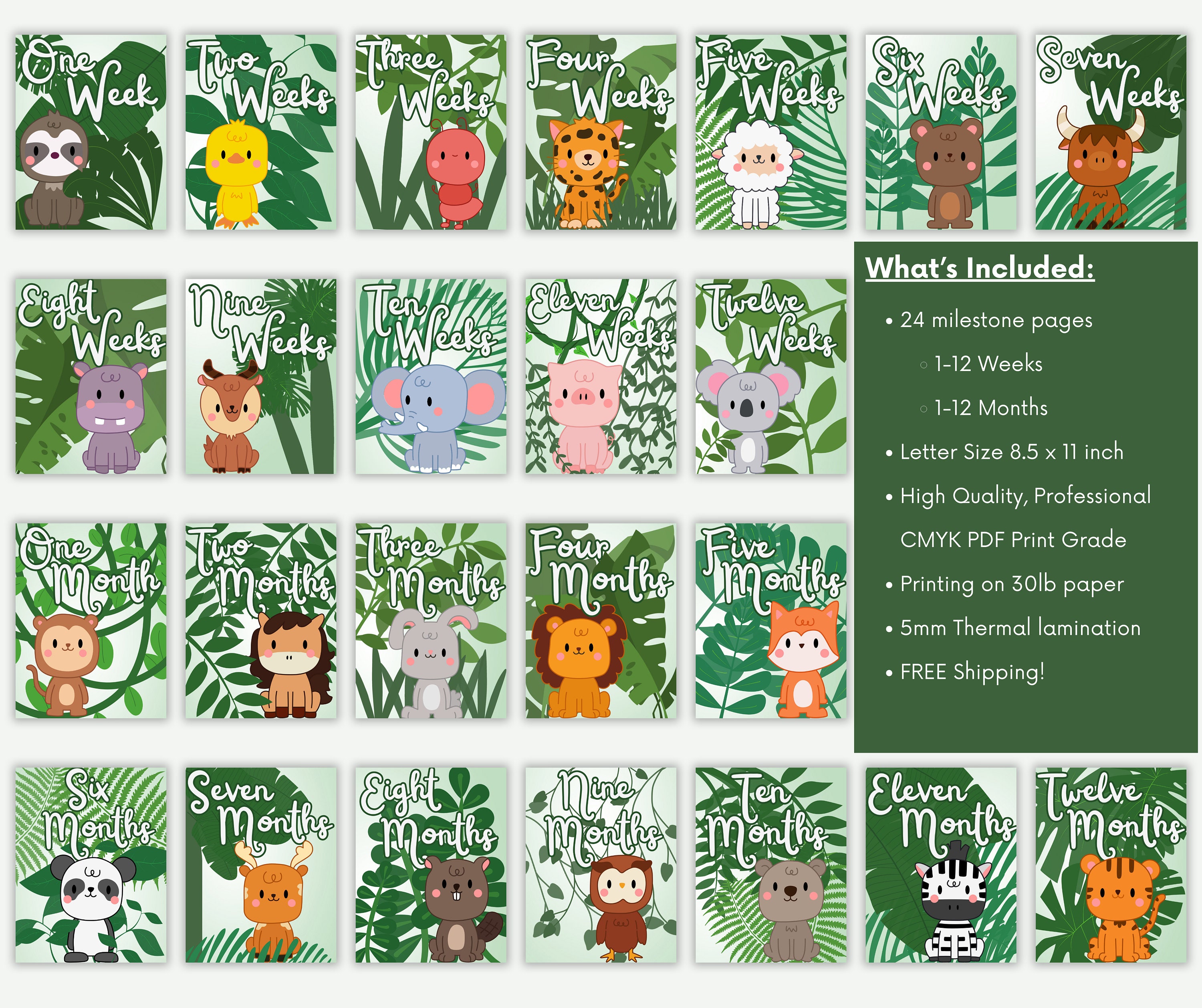 24 Unique LAMINATED Baby Milestone Photo Signs 8.5x11 - Etsy