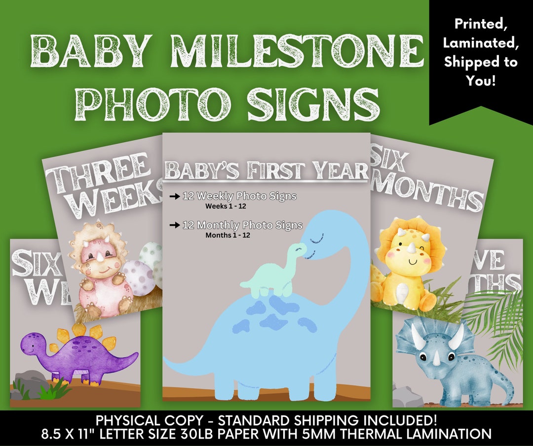 24 Unique LAMINATED Baby Milestone Photo Signs 8.5x11 - Etsy