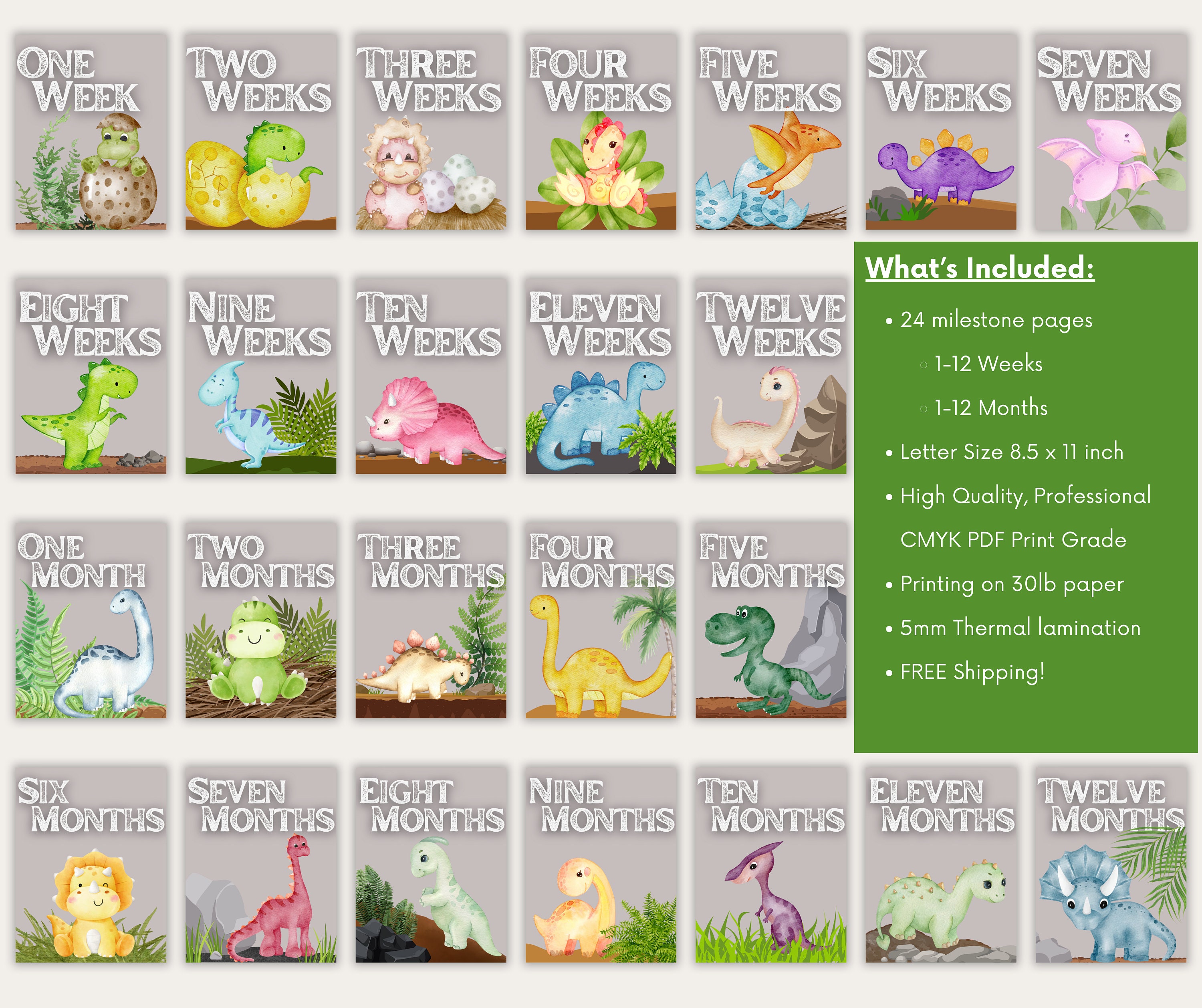 24 Unique LAMINATED Baby Milestone Photo Signs 8.5x11 - Etsy