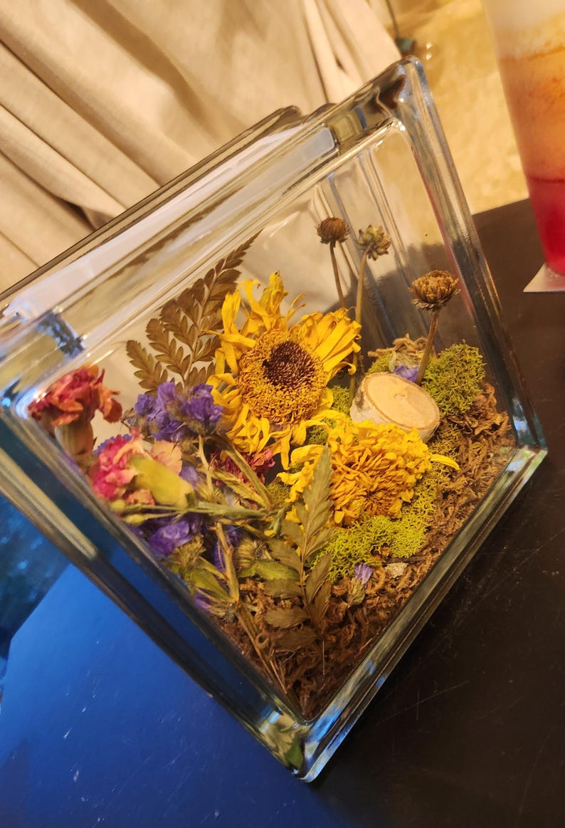 Dried Flower Cubes - Etsy