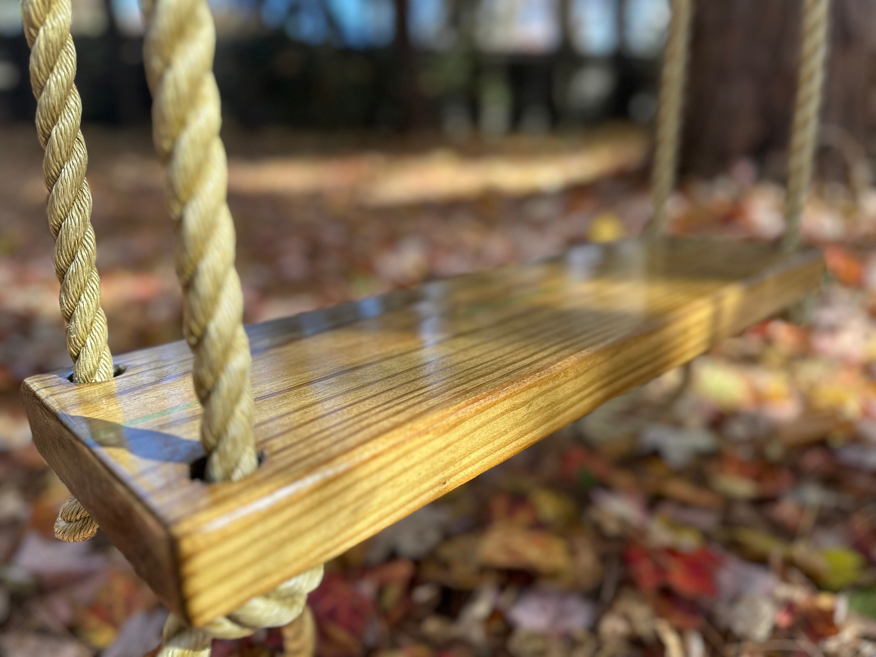 Hand-loved Wood Tree Swing Kids Swing Adult Swing Porch - Etsy