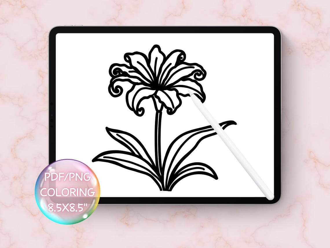 In Full Bloom - Coloring Book Bold and Easy Digital Coloring Book Adult ...