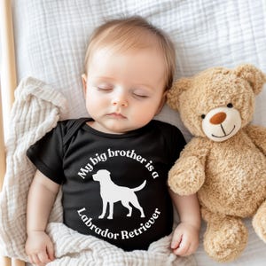 Labrador Baby Bodysuit for Dog Loving Families, Black Yellow Chocolate ...