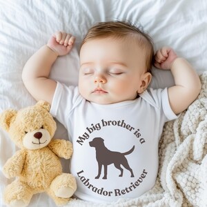 Labrador Baby Bodysuit for Dog Loving Families, Black Yellow Chocolate ...