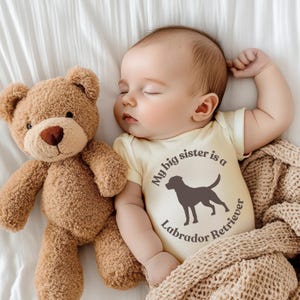 Labrador Baby Bodysuit for Dog Loving Families, Black Yellow Chocolate ...