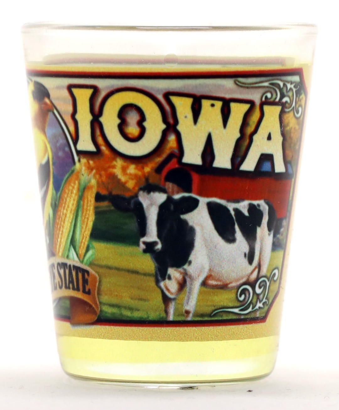 Iowa State Mural Shot Glass - Etsy