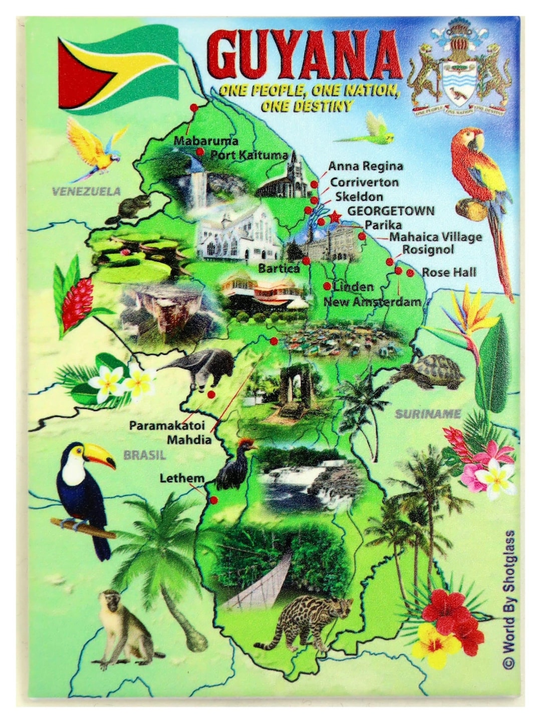 Guyana Graphic Map and Attractions Souvenir Fridge Magnet 2.5" X 3.5 - Etsy