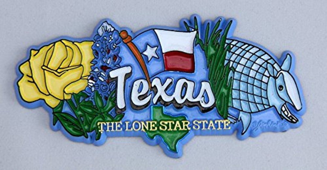 Texas State Elements Fridge Collectible Souvenir Magnet - Etsy