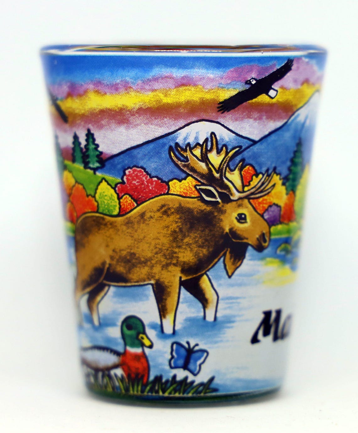 Maine Moose in & Out Collectible Shot Glass - Etsy