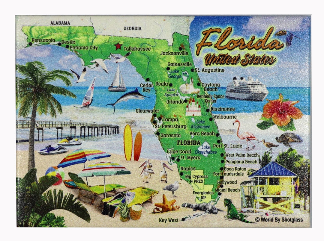 Florida Attractions & Icons Collage Fridge Collector's Souvenir Magnet ...