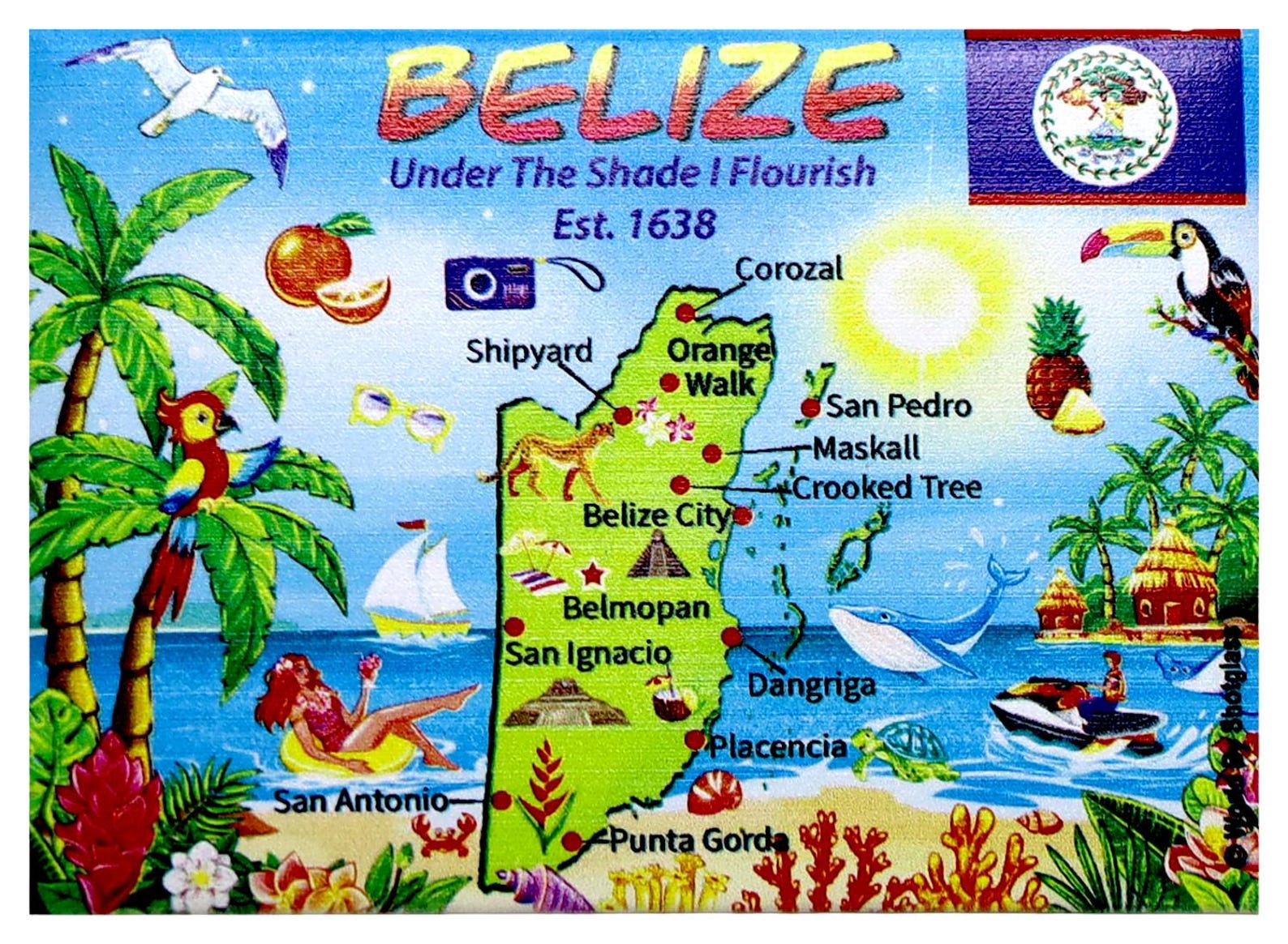 Belize Graphic Map and Attractions Souvenir Fridge Magnet 2.5" X 3.5 ...