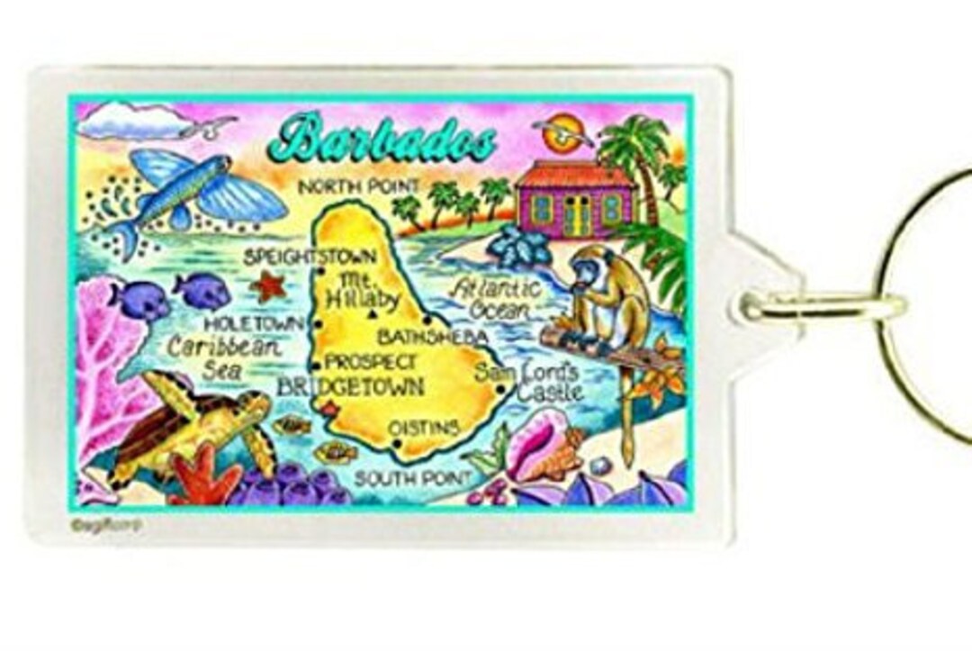 Barbados Map Acrylic Rectangular Souvenir Keychain 2.5 Inches X 1.5 ...