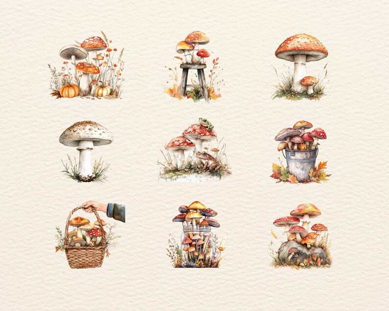 Watercolor Wild Mushrooms Clipart Bundle, Wild Mushroom Clipart Pack ...