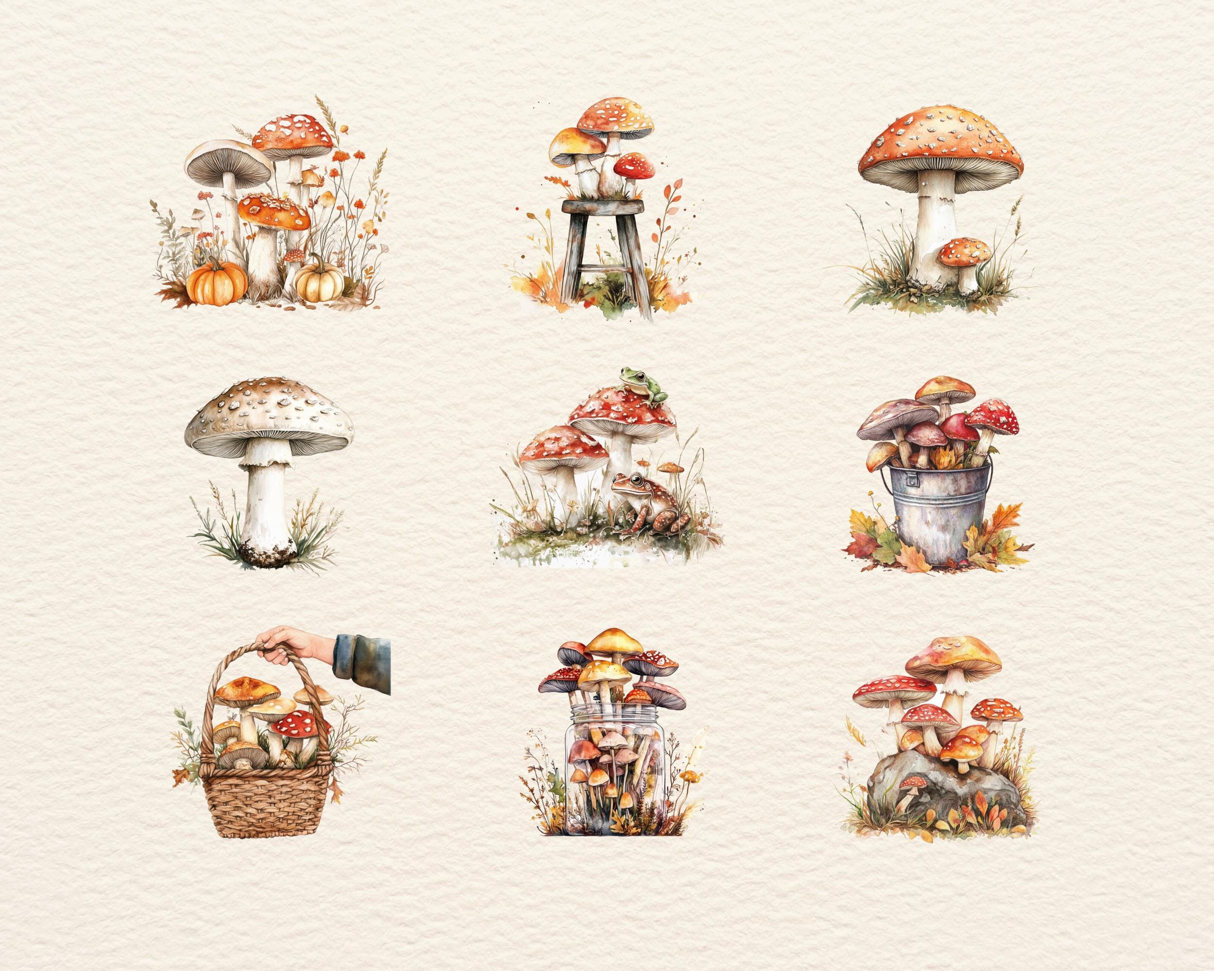Watercolor Wild Mushrooms Clipart Bundle, Wild Mushroom Clipart Pack ...