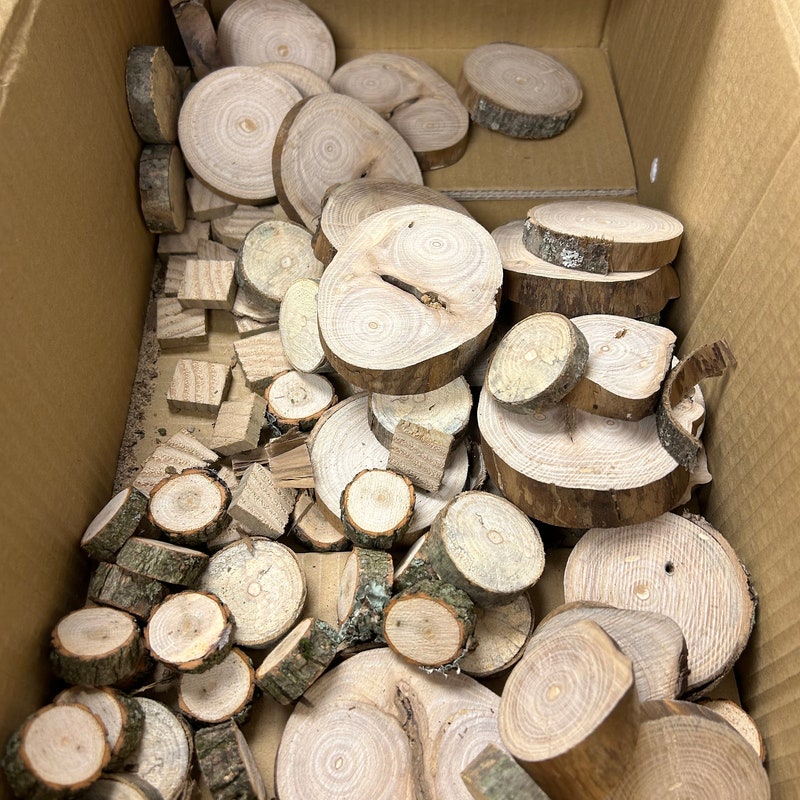 Oak Wood Slice - Etsy