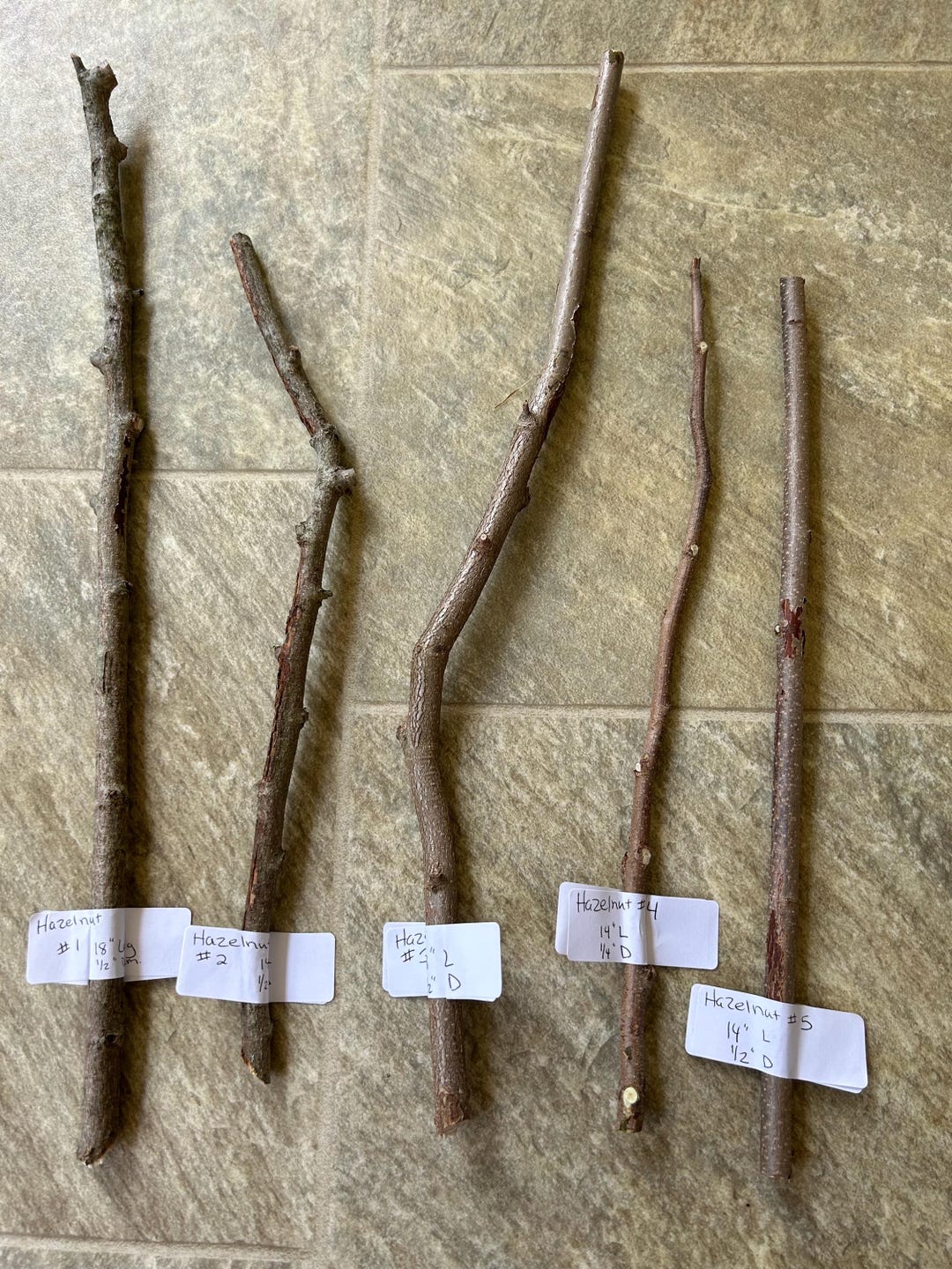 Fresh Cut Hazelnut Sticks, Sourced From Generational Northwestern PA ...