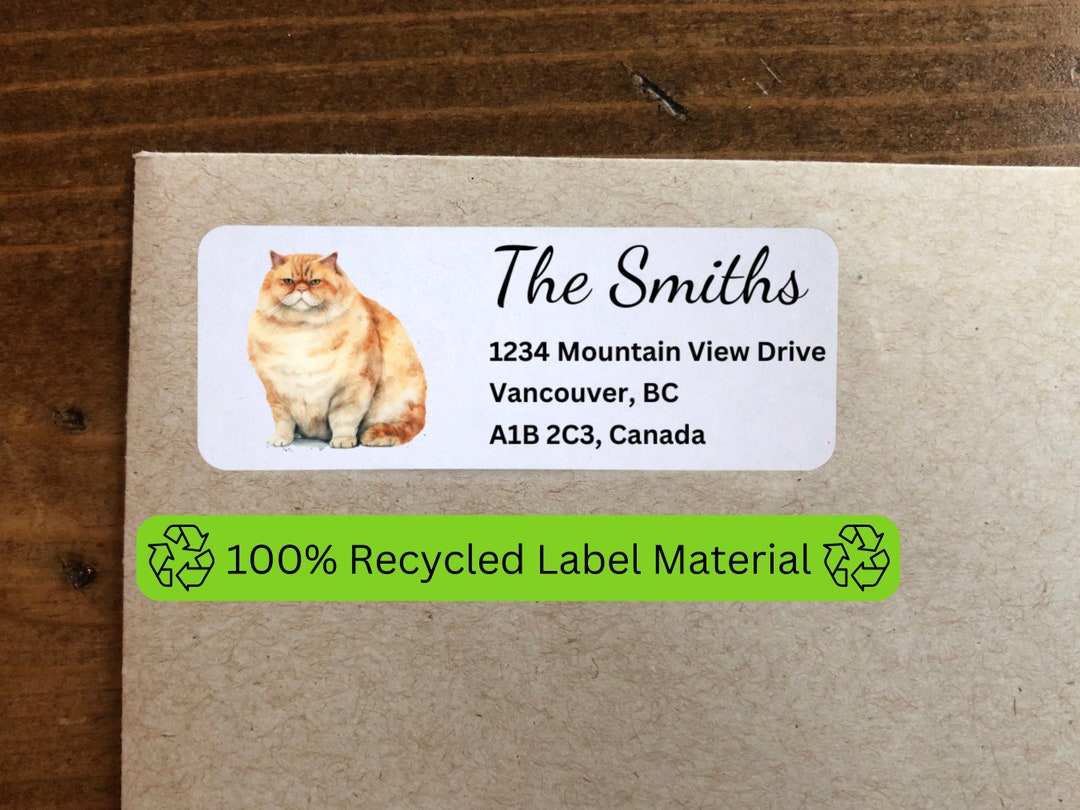 Self Adhesive Personalized Fat Orange Grumpy Cat Return Address Labels ...