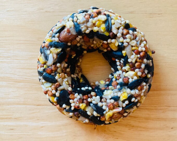 Bird Seed Donuts Year Round Treats for Birds, Squirrels, Hamsters, Mice ...