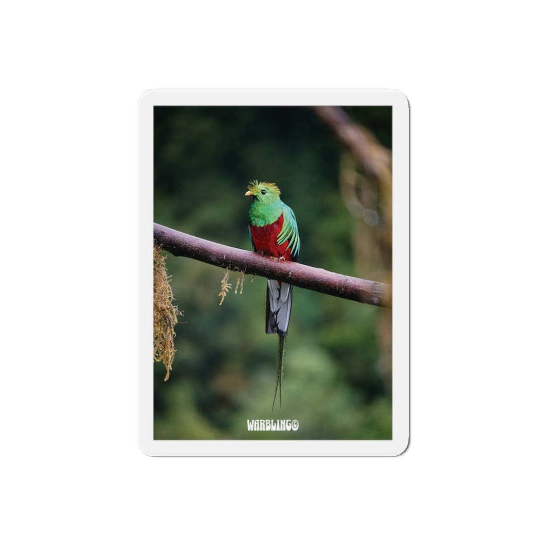 Resplendent Quetzal Vinyl Magnet - Etsy