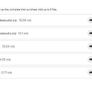 Rigged Vtuber Braids: Live2d Hair Asset (PSD, Moc3, Cmo3 Files) . - Etsy