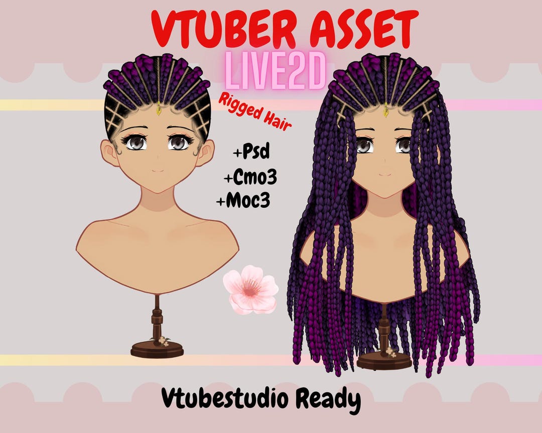 Rigged Vtuber Box Braids| Live2d Asset| Transparent Background PNG File ...