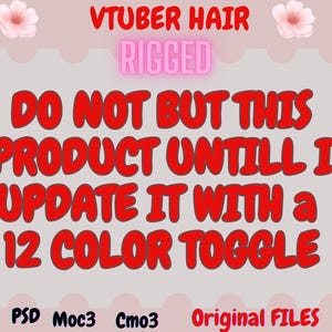 Rigged Vtuber Braids: Live2d Hair Asset (PSD, Moc3, Cmo3 Files) . - Etsy