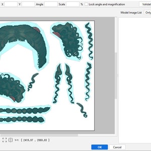 Rigged Vtuber Hair Asset: Live2d, PSD, Moc3 Files. - Etsy Canada