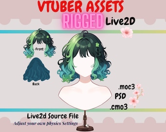 Vtuber Asset Rigged Vtuber Hair Live2d Asset Transparent Background PNG ...