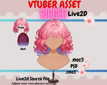 Vtuber Asset Rigged Vtuber Hair Live2d Asset Transparent Background PNG ...