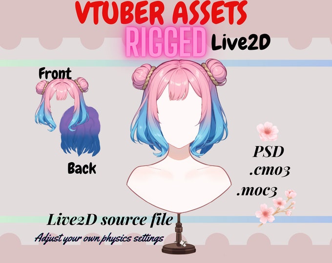 Rigged Vtuber Hair Asset: Live2d, PSD, Moc3 Files. - Etsy Canada