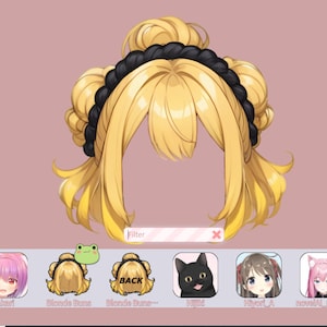 Vtuber Asset - Rigged Vtuber Hair| Live2d Asset| Transparent Background ...
