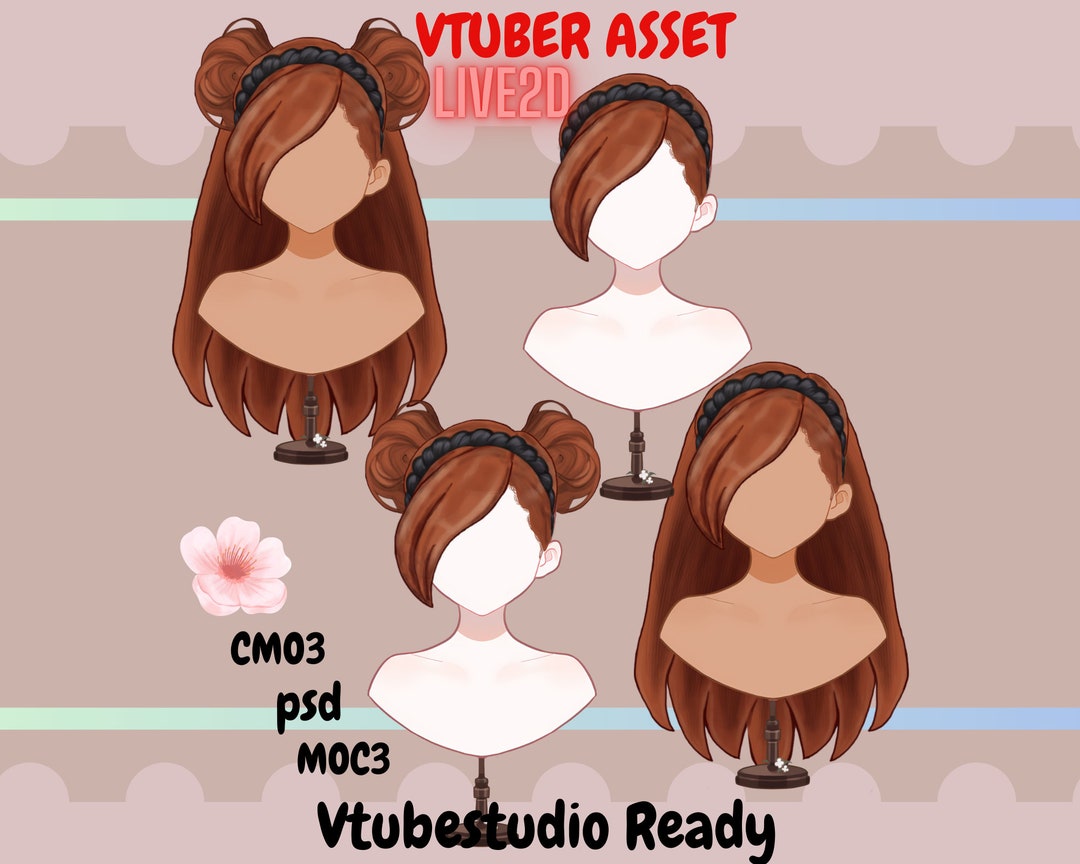 Vtuber Asset - Rigged Vtuber Hair| Live2d Asset| Transparent Background ...