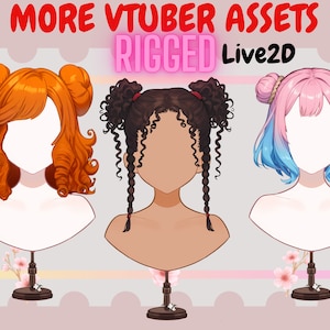 Rigged Vtuber Hair Asset: Live2d, Moc3 Files (PSD, PNG Included). - Etsy
