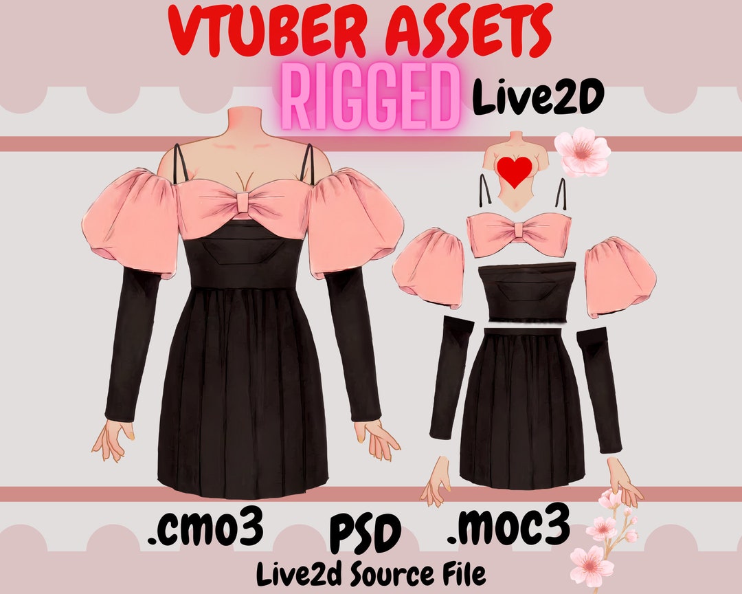 Rigged Vtuber Dress Asset: Live2d Outfit (PSD, Moc3, Cmo3). - Etsy