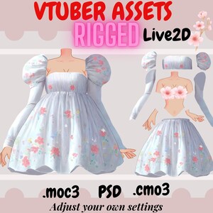 Vtuber Asset - Rigged Vtuber Outfit| Live2d Rig| Clothing Asset| Vtuber ...