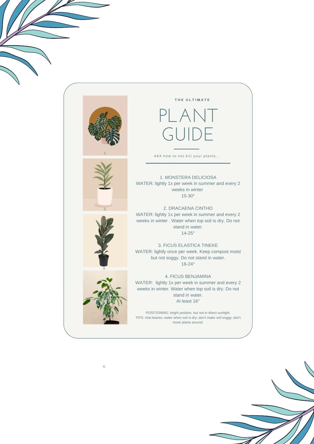 House Plant Care Guide - Downloadable and Printable - Etsy