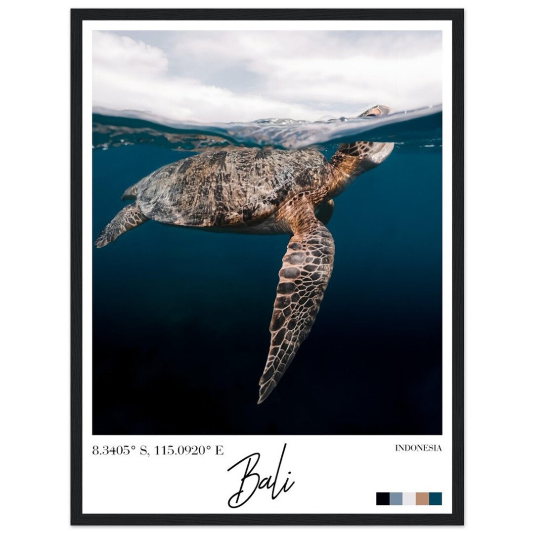 Sea Turtle Poster | Modern Prints | Bilderrahmen | Wall Art | Home ...