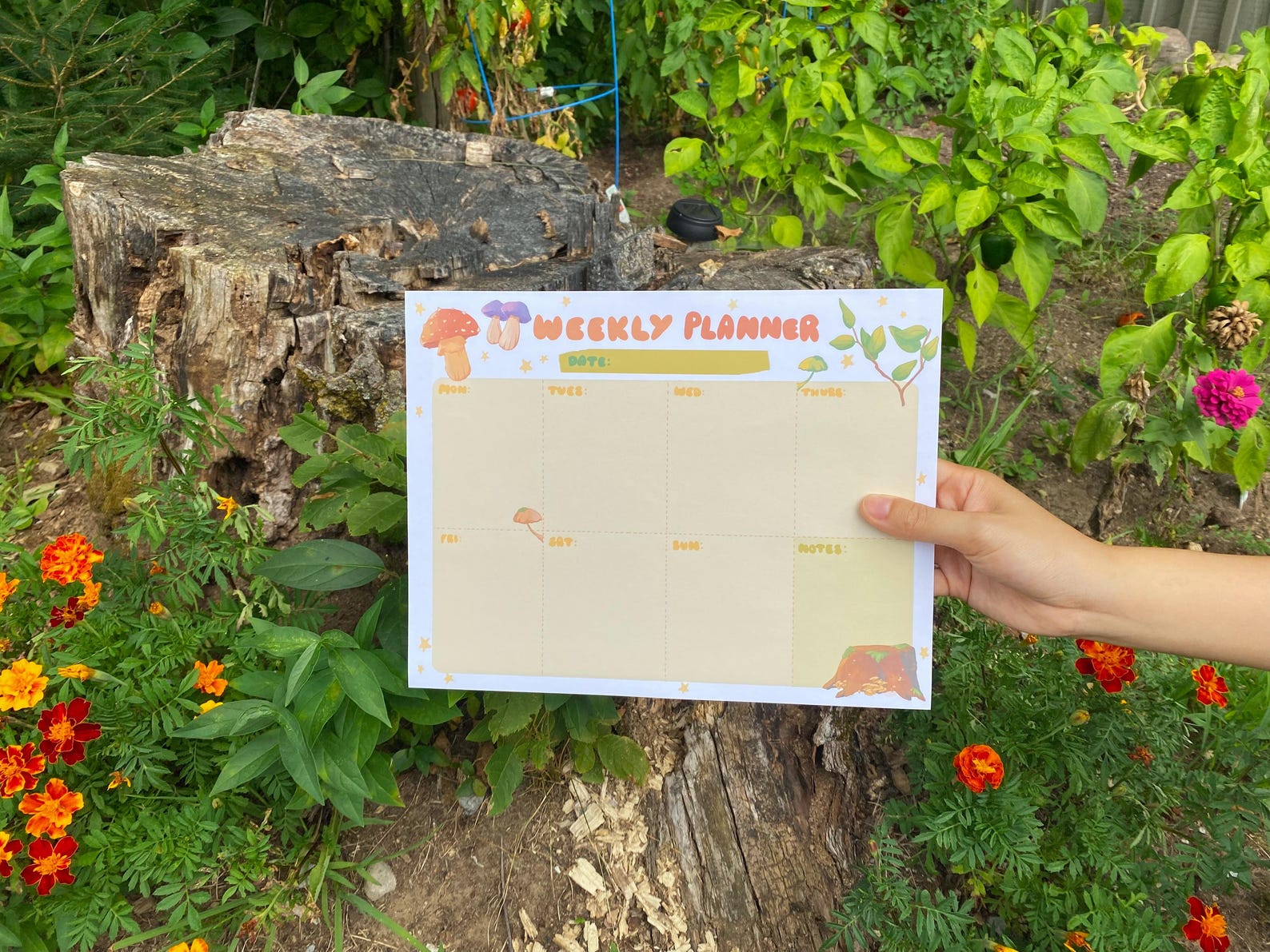 Autumn Weekly Planner Printable, Digital Download File in 8.5x11, Cute ...