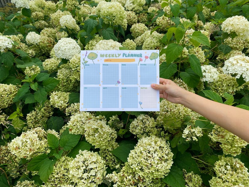Flower Weekly Planner Printable, Digital Download File in 8.5x11, Cute ...