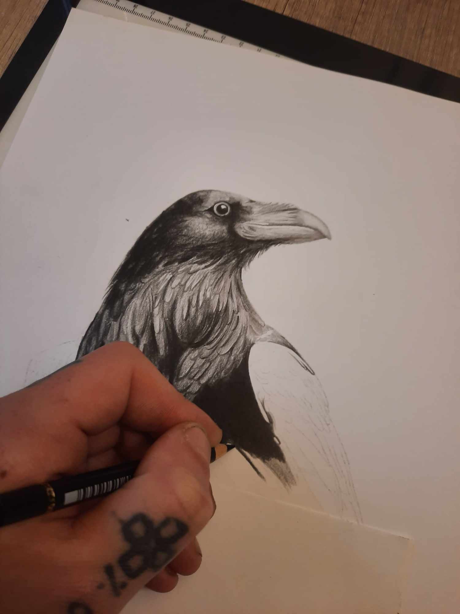 Common Raven Hand-drawn With Pencil and Charcoal on A3 Drawing Paper - Etsy