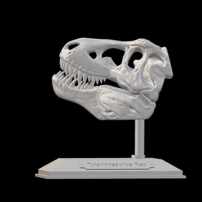 T-rex Dinasour STL Model Decor With 3D Print Stl Files and Ready to ...