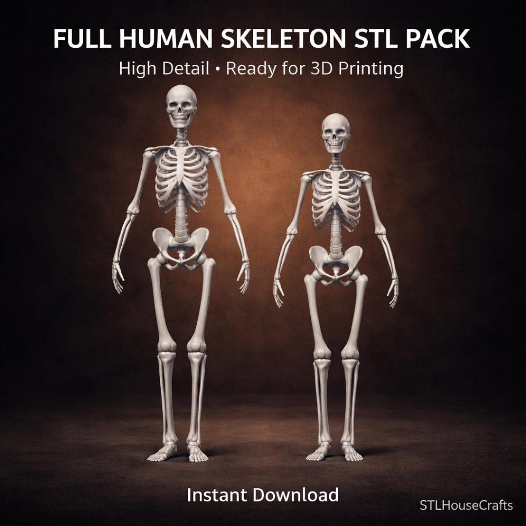 Full Human Skeleton STL Pack | High Detail Anatomy 3D Print Model ...