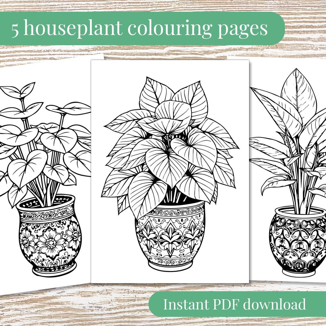 5 Printable House Plant Colouring Sheets, Mindful Colouring for Kids ...