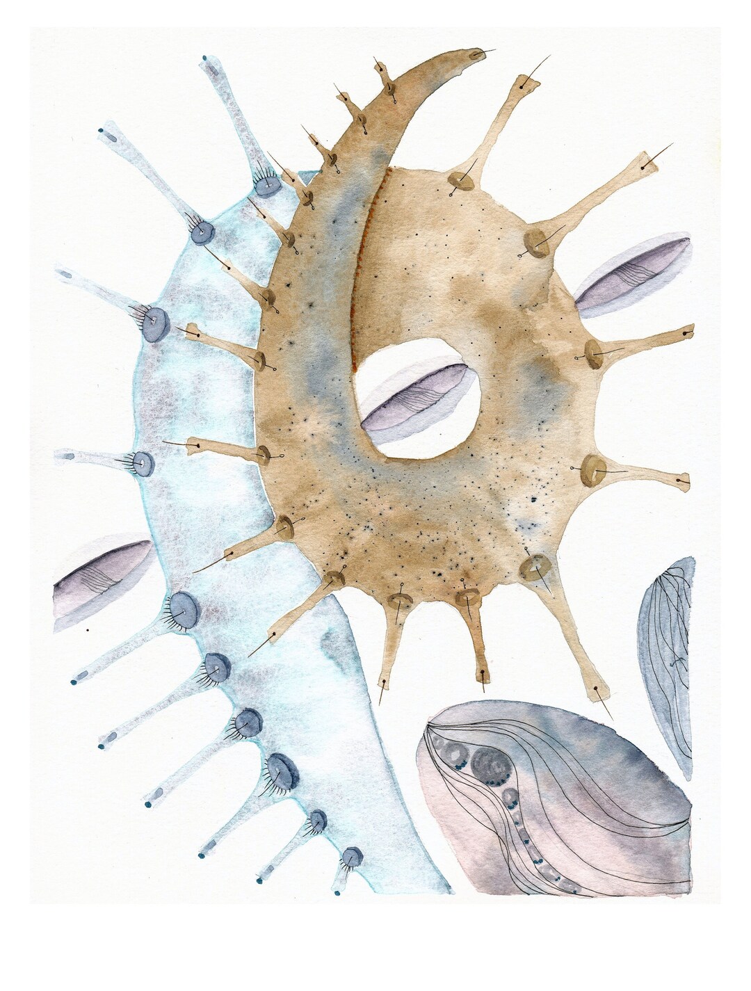 Hollow Shells, Original Painting Hand Signed. Watercolour/ink/pigments ...